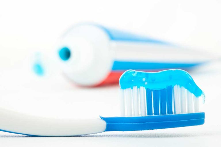 The History of the Toothbrush | When was the toothbrush invented?
